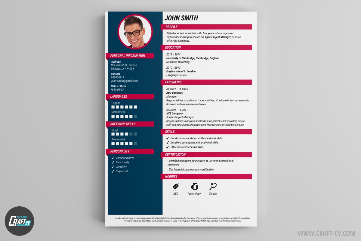 CV Maker Professional CV Examples Online CV Builder CraftCv